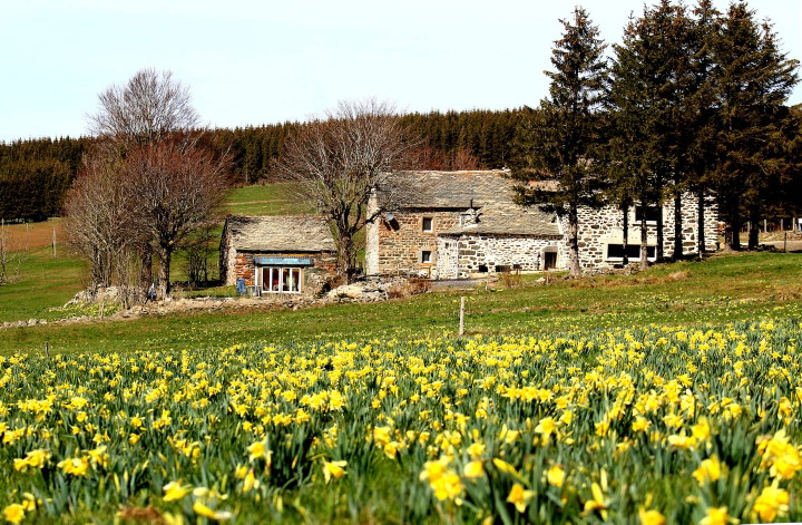 Gite Le Buisson - Spa Et Sauna - Les Estables