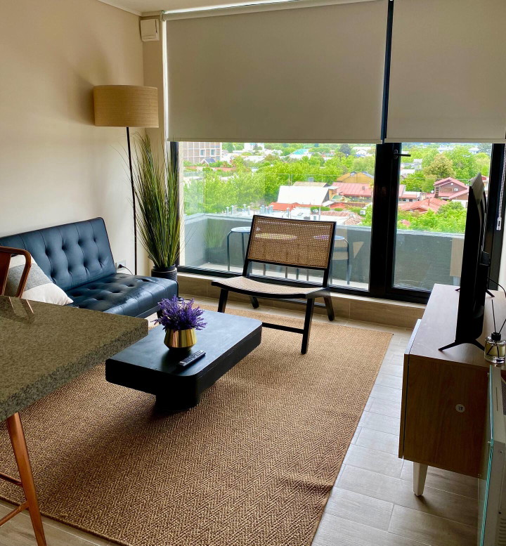 New And Central Apartment. - Chillan