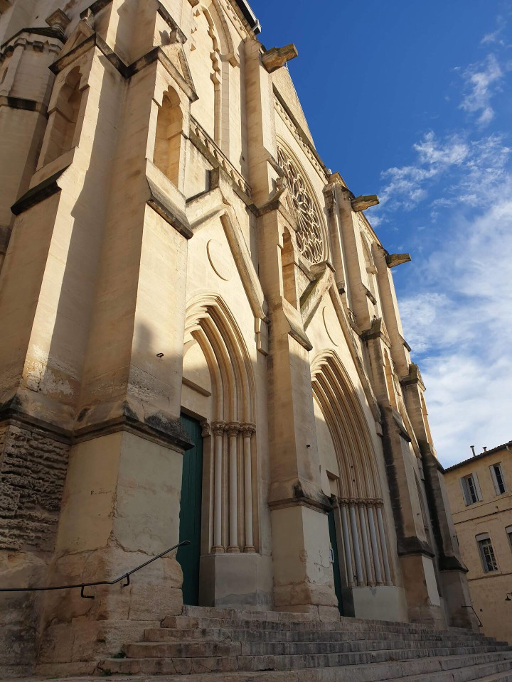 Studio Cosy Dans Le Centre De Montpellier - Montpellier