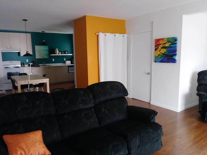 Un Bel Appartement, Centre-ville De Victoriaville - Victoriaville