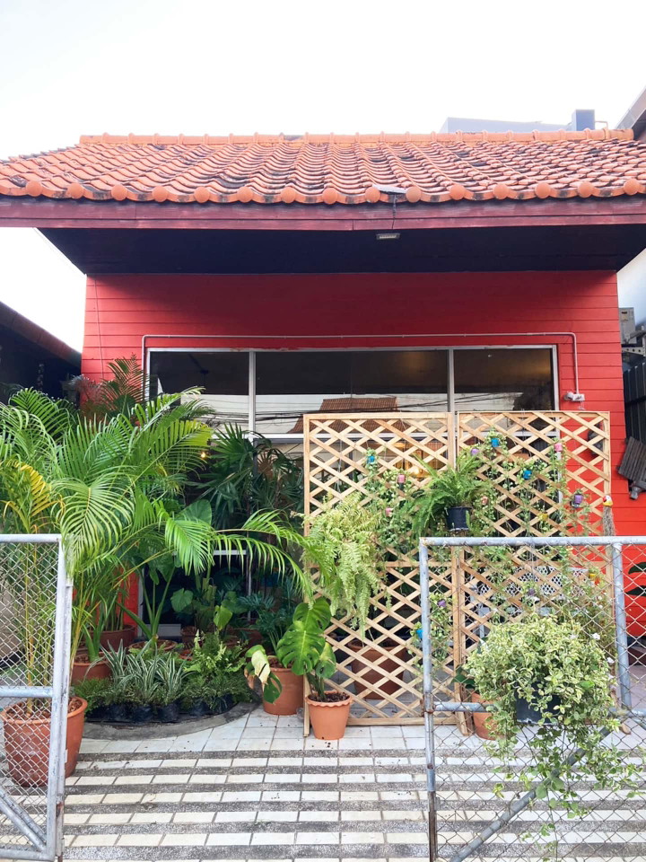 50loft L Entire House - Chiang Mai