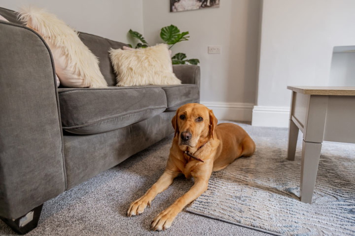 Upper Swan View Harrogate - Great Location. Sleeps 3. Dog Friendly. Free Parking - Wetherby