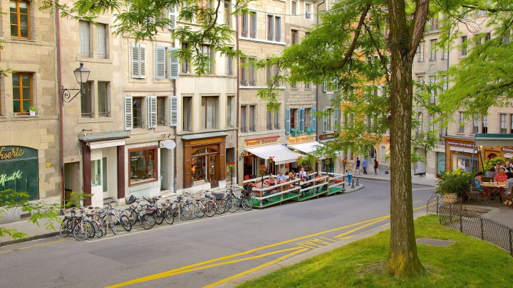 2-room Flat In Geneva Old Town - Kanton Genf