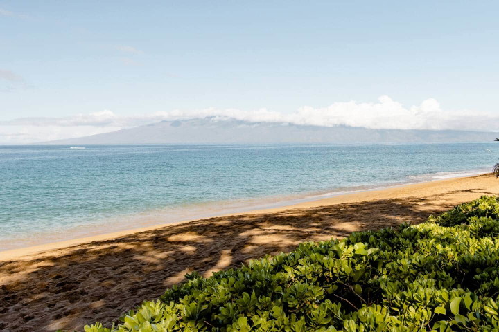 Steps To Kaanapali Beach, Garden Studio, King Bed - Kaanapali, HI