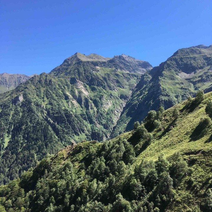 Gîte De Bidaou - Pyrenees