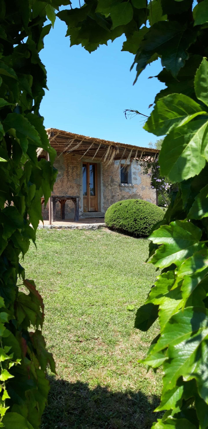 Vermentino - Small Beautiful Cottage In Olbia - Olbia