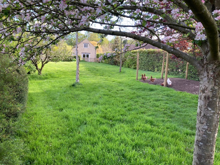 Country Cottage In A Cotswold Village - Tewkesbury