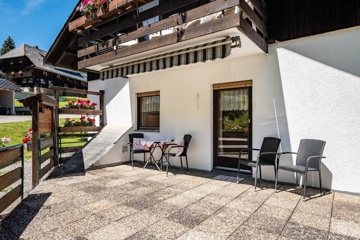 Appartement De Vacances Silberdistel, 45 M² - Feldberg