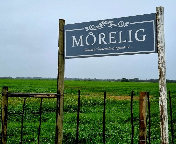 Kleine Môrelig - Arniston