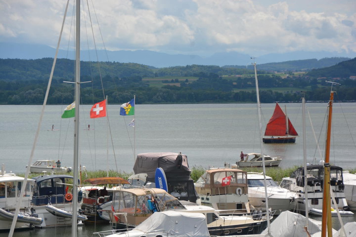 Leben Im Hafen Am Idyllischen Murtensee - Murten