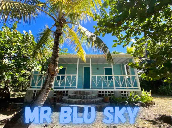 : Mr Blu Sky : Cottage By Kitebeachrental - Saint Kitts and Nevis