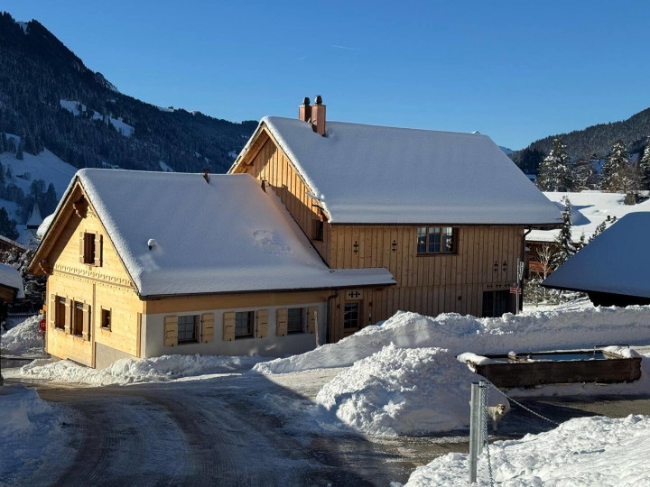 Minimalist Chic Chalet In The Heart Of Rougemont - Saanen