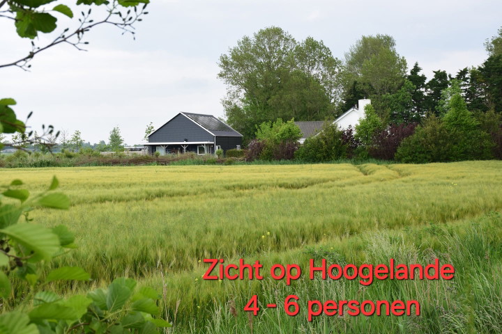 View Of Hoogelande - Vlissingen
