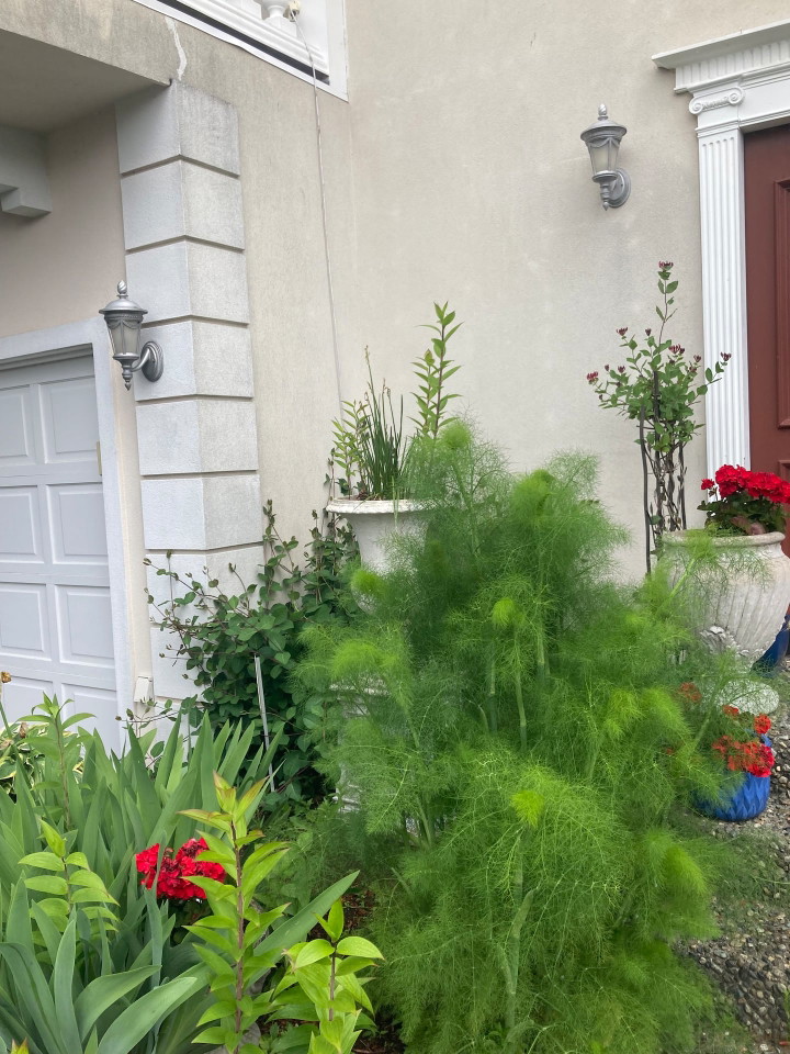European Upscale Home - Kirkland, WA