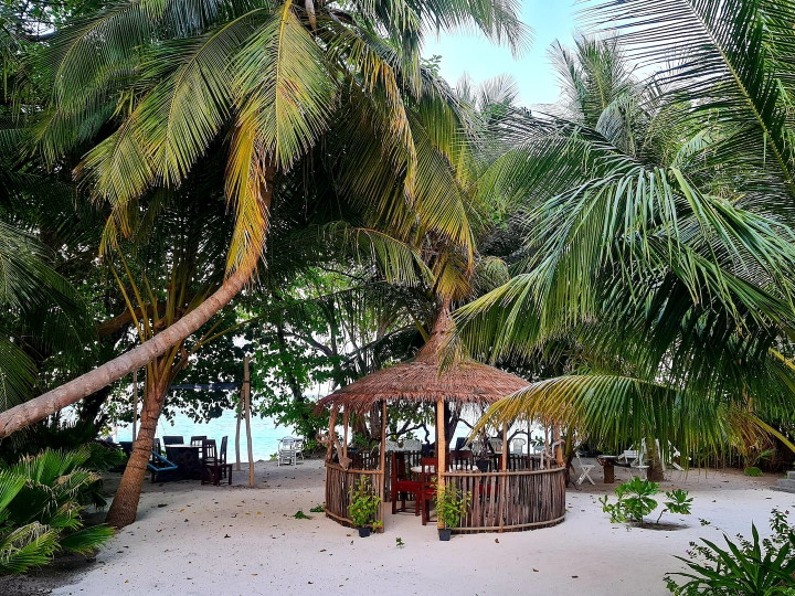Sama Garden, Beach Front & Restaurant, 12 Rooms - Maldives