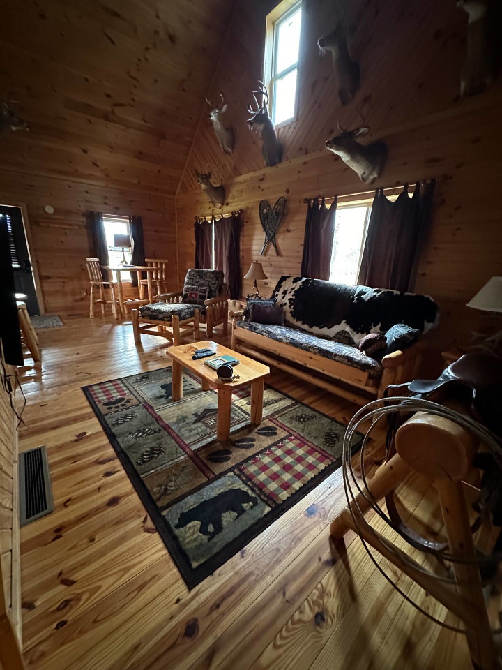 Cute And Cozy Cabin (No Cleaning Fees) - Michigan