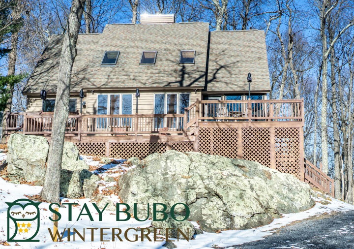 6 Min To Ski! Fire Pit Movie Room Fireplace Office - Virginia