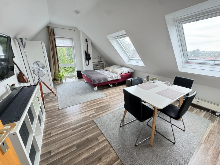 Cozy Bright Attic Apartment In Frankfurt - フランクフルト