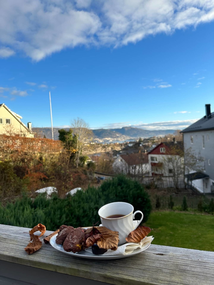 Idyllic Home W/seaside Mainland Bergen Views. - Bergen