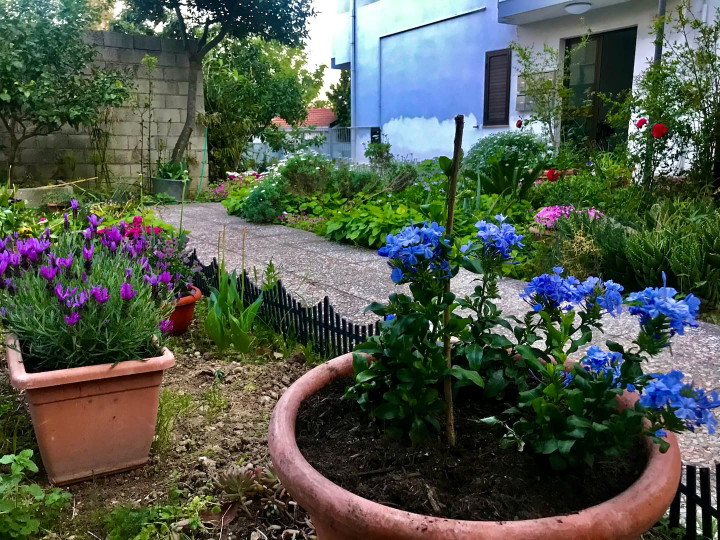 Alloggio Vasto Centro Due Passi Dal Parco - Vasto