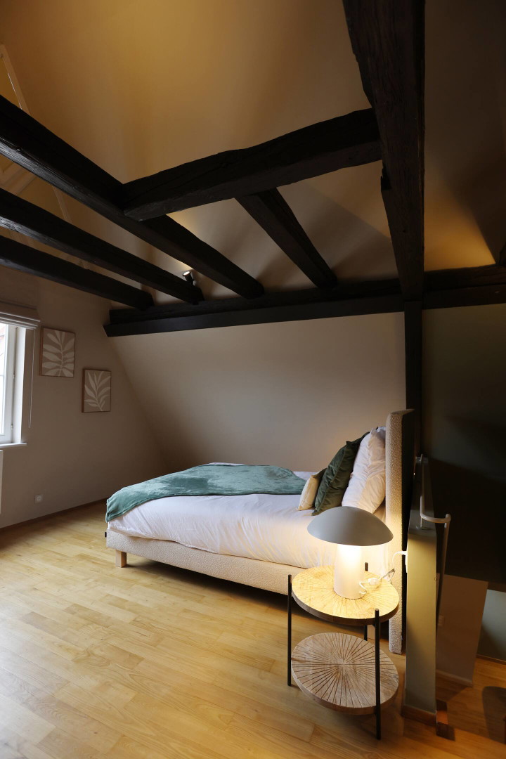 Pistache Charm & Comfort In The Heart Of Colmar - Colmar