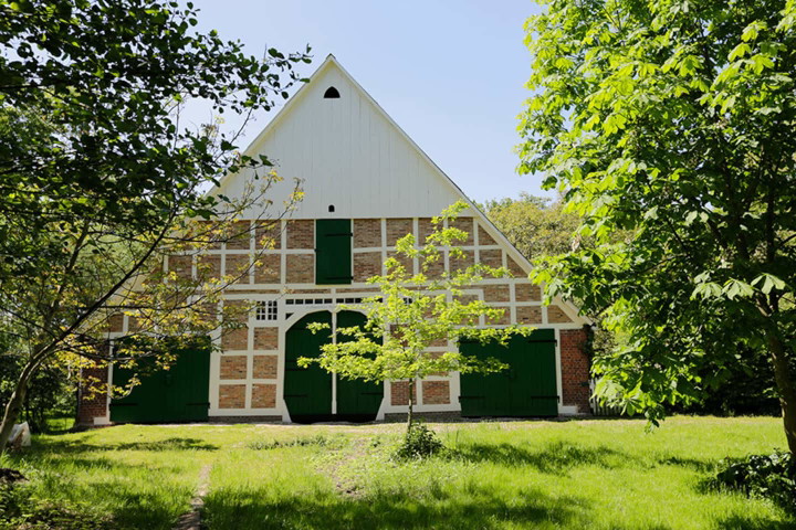 A Green Oasis Next To The Elbe River And North Sea - Friburgo, Alemania