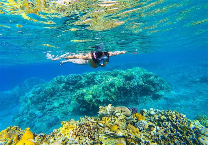 Dive Stay Sairee Beach | 3 Mins To Dive School - Ko Tao