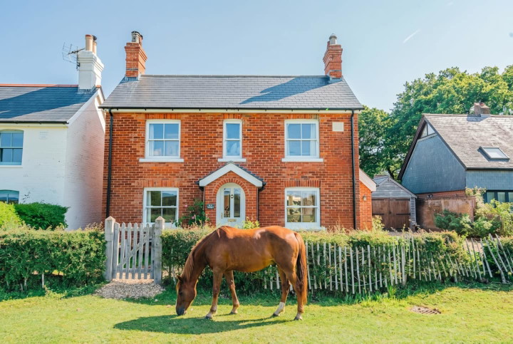 New Forest Views & Wild Ponies - Lymington