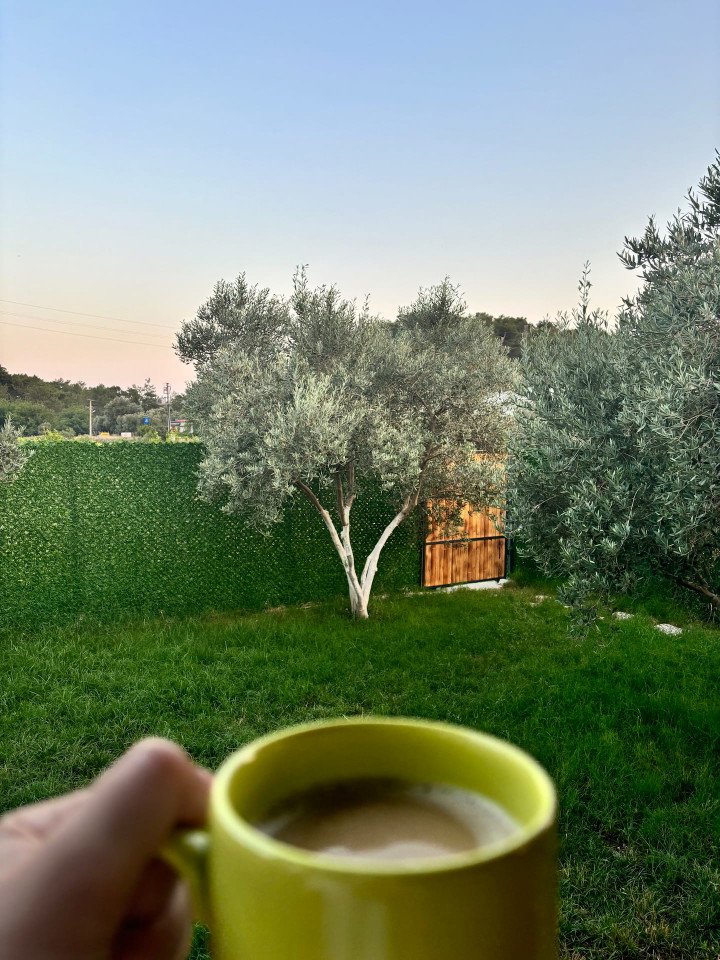 Mercan Tiny House - Sarıgerme