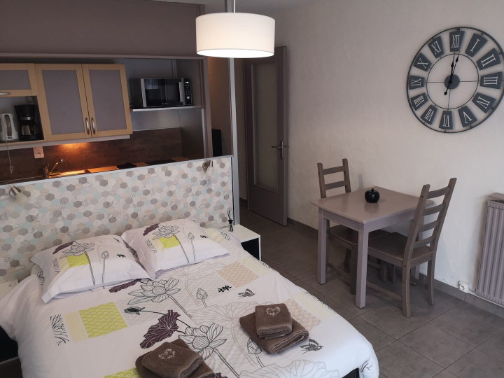 Le Majestic 105. - Aix-les-Bains