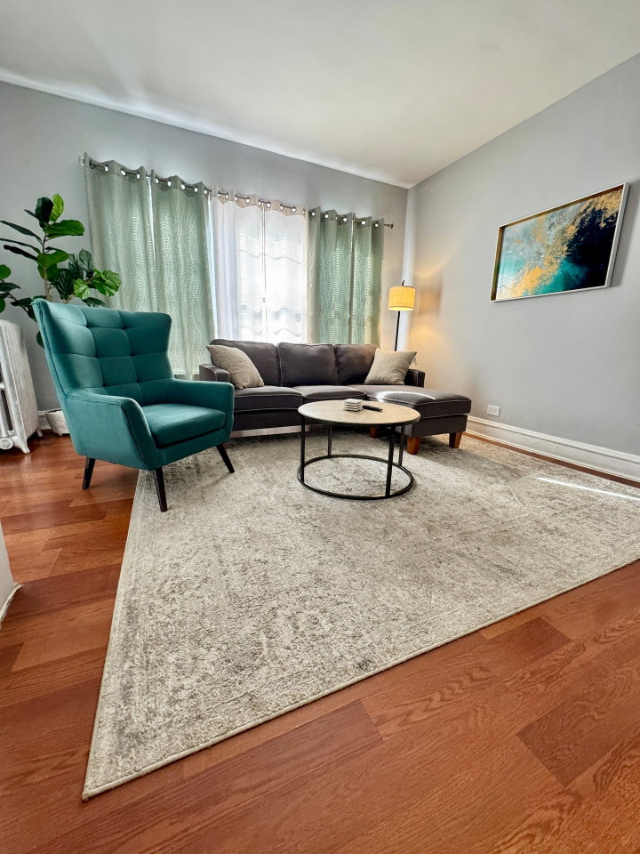 Cozy 1 Bedroom Apt Near Michigan Lake - Chicago, IL