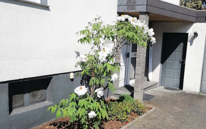 Haus Am Osning - Bielefeld