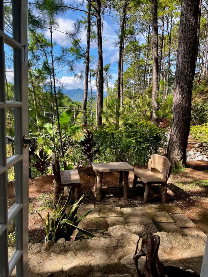 Forest Lodge - Couple Or Twins Bed - Pine Tree - Philippines