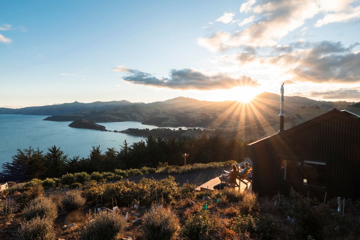 Kūkupa Matairangi At Akaroa Lavender - Duvauchelle