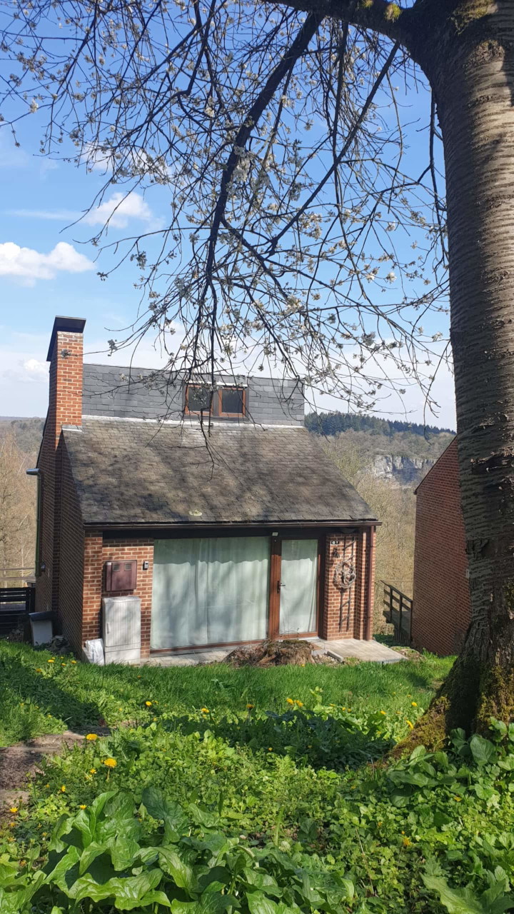 La Cabane D'hélie - Cottage En Pleine Forêt - Hastière