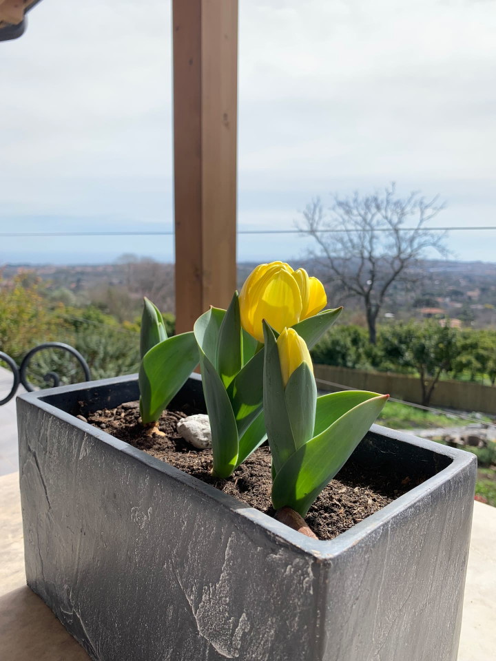 Casa Bellavista - Trecastagni