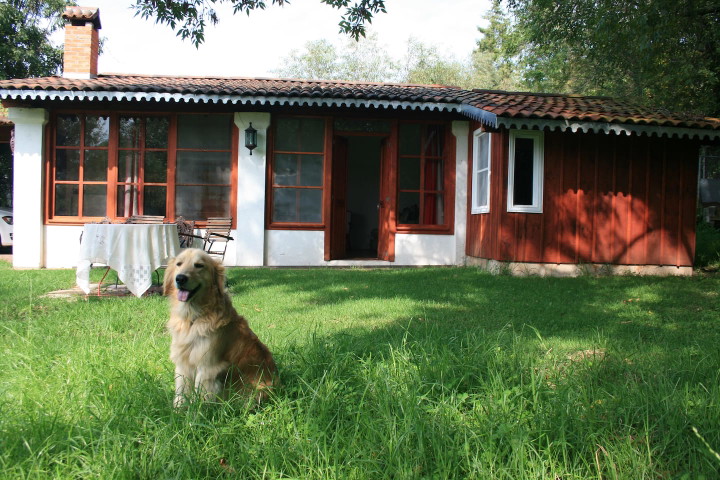 Cabaña El Búho - Michoacán