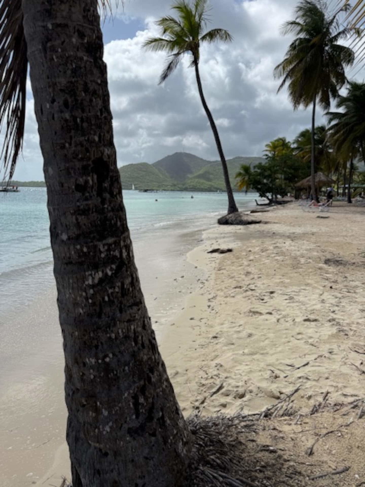 Cottage: Paradis De Sports Nautiques Et Farniente - Martinique