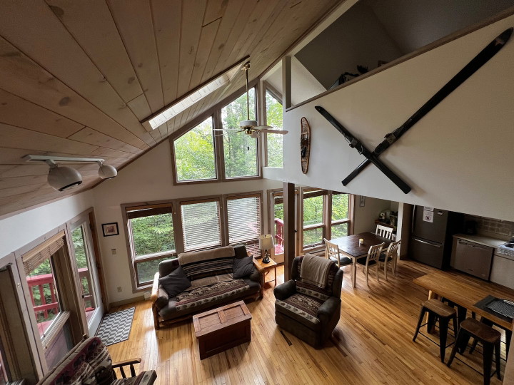 Branching Out Chalet - Davis, WV