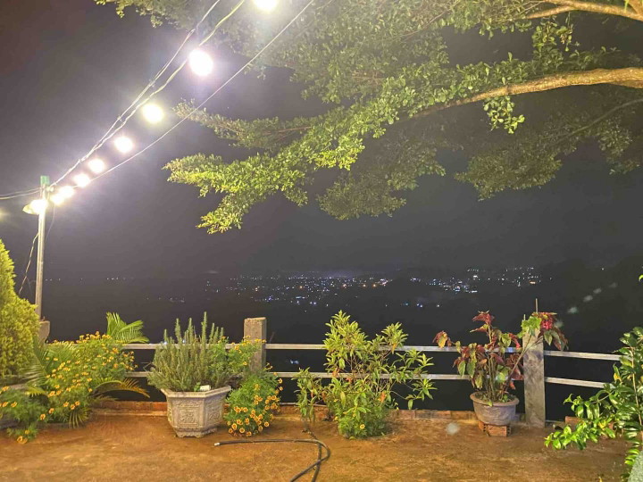Avocado Farm Stay- Dalat - Vietnam