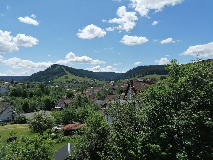 Black Forest - 2nd Floor - Baiersbronn