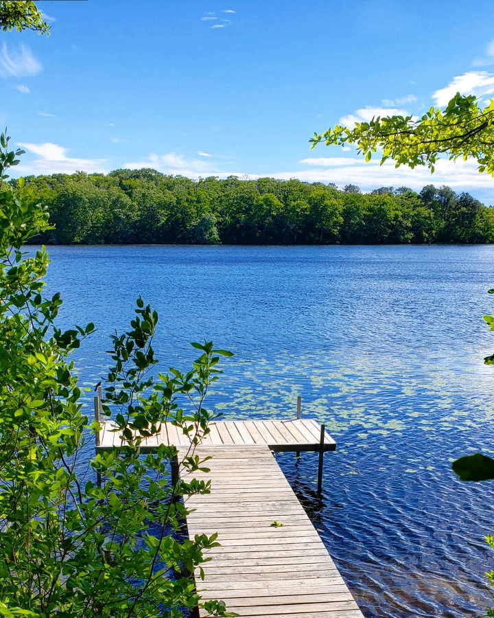 Water Front Pond House - 3 Acre Cape Cod Sanctuary - Brewster, MA