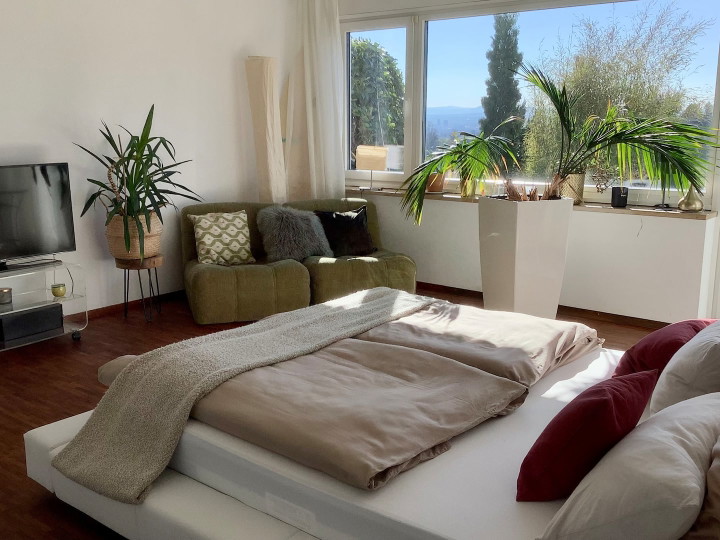 Close To The City & Magnificent View Of Basel - Rheinfelden (Baden)