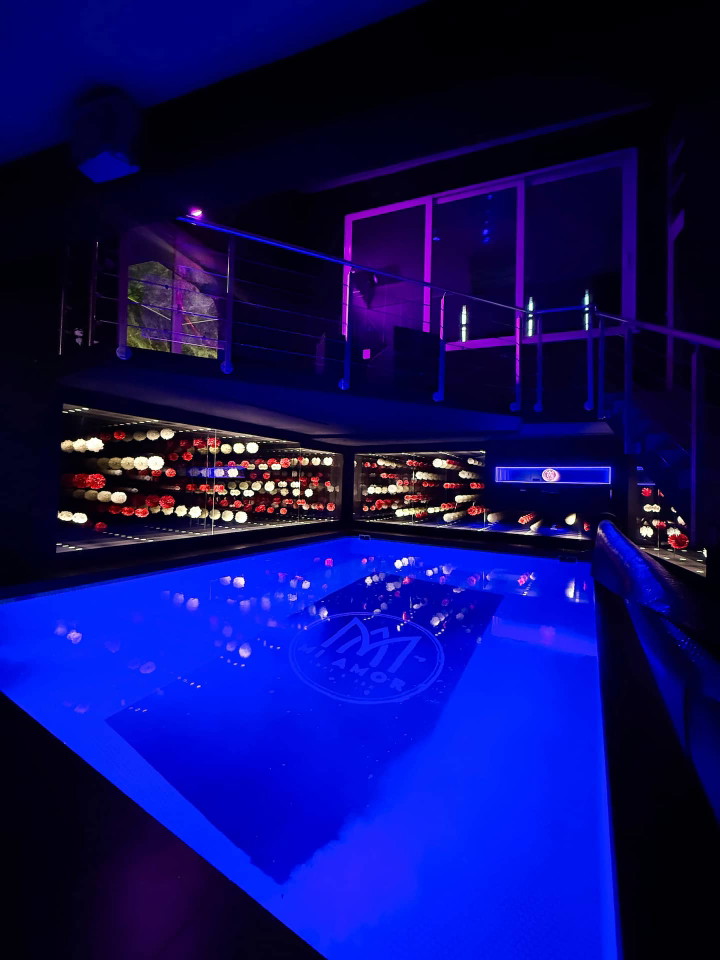 Miamor Spa* Jaccuzi/piscine 35°/cinema&secret Room - Marne-la-Vallée