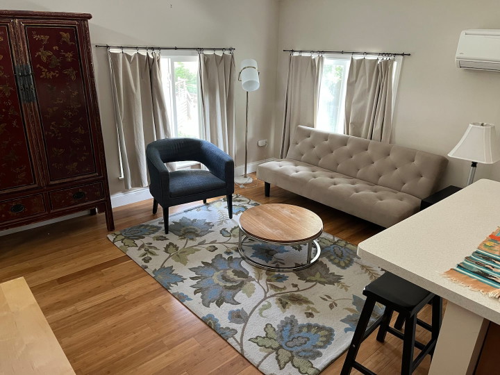 Sunny Coach House In Historic Oak Park - Oak Park, IL