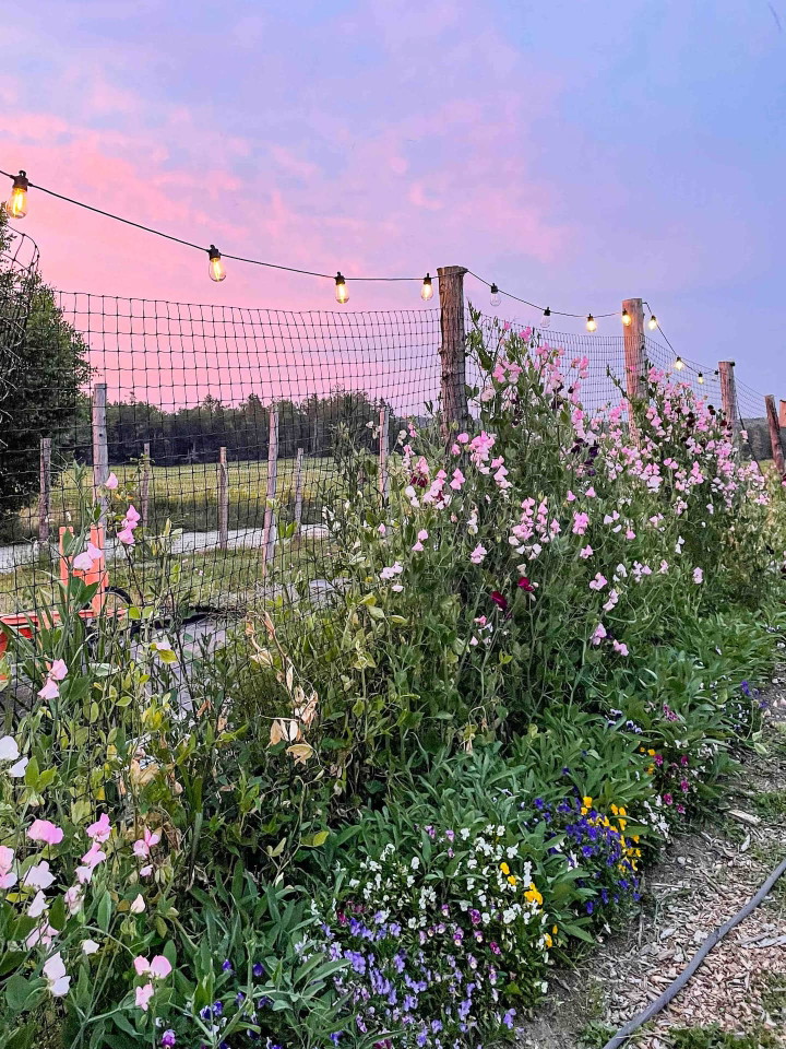 Flower Farm Loft - Maine