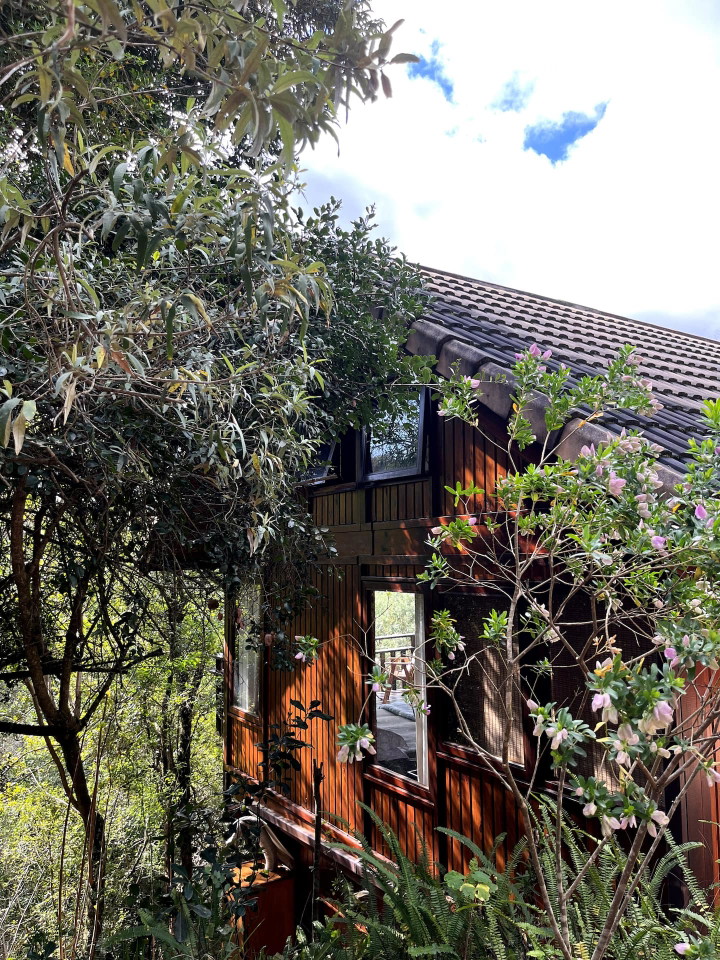 Lodge In The Heart Of The Wilderness Forest - South Africa