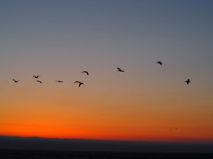 Khwab ~ A Slice Of Heaven In The Sea Ranch - Gualala, CA