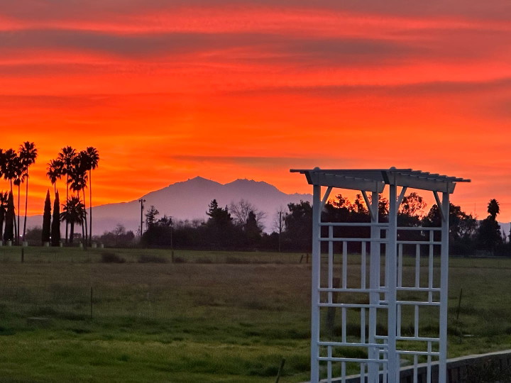Wake Up To Nature: Your Peaceful Country Escape - Discovery Bay, CA