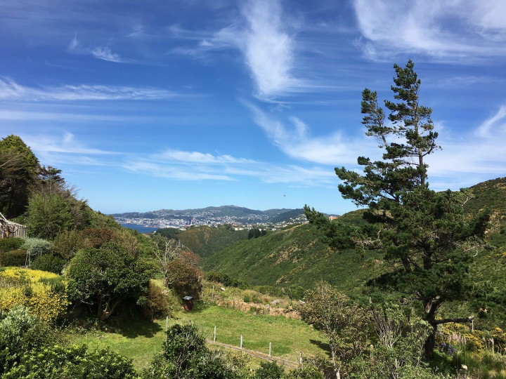 Cosy Private Flat With Amazing View In Newlands - Wellington, New Zealand
